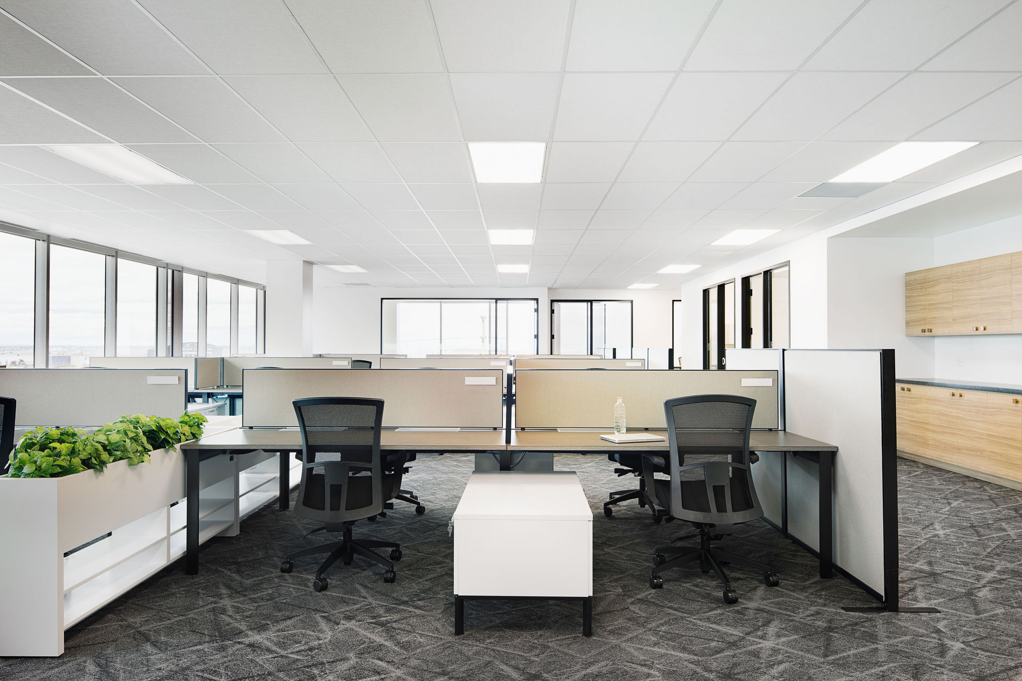 Ingenuity Development Inc.